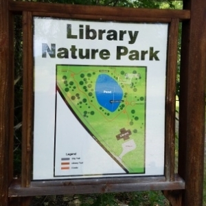 Library Nature Trail | Sherman and Ruth Weiss Community Library